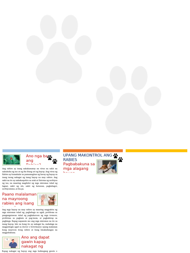 Rabies Brochure | PDF