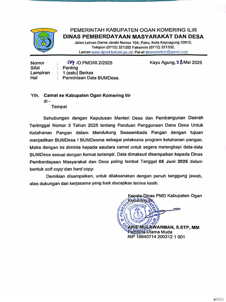 Data Bumdes | PDF