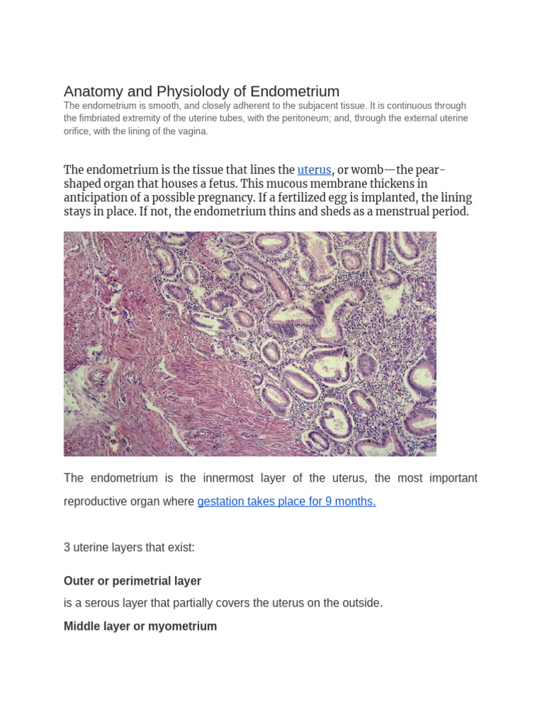 Anatomy and Physiolody of Endometrium - Glaiza | PDF | Uterus ...