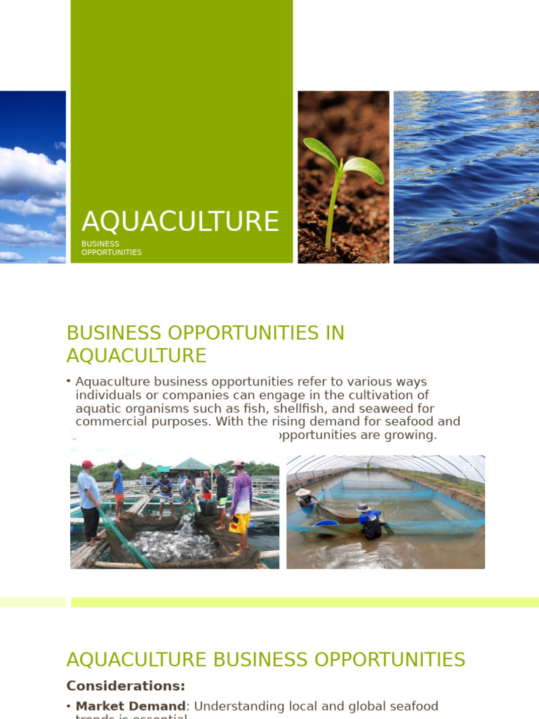 Business Opportunities | PDF | Aquaculture | Fish And Humans