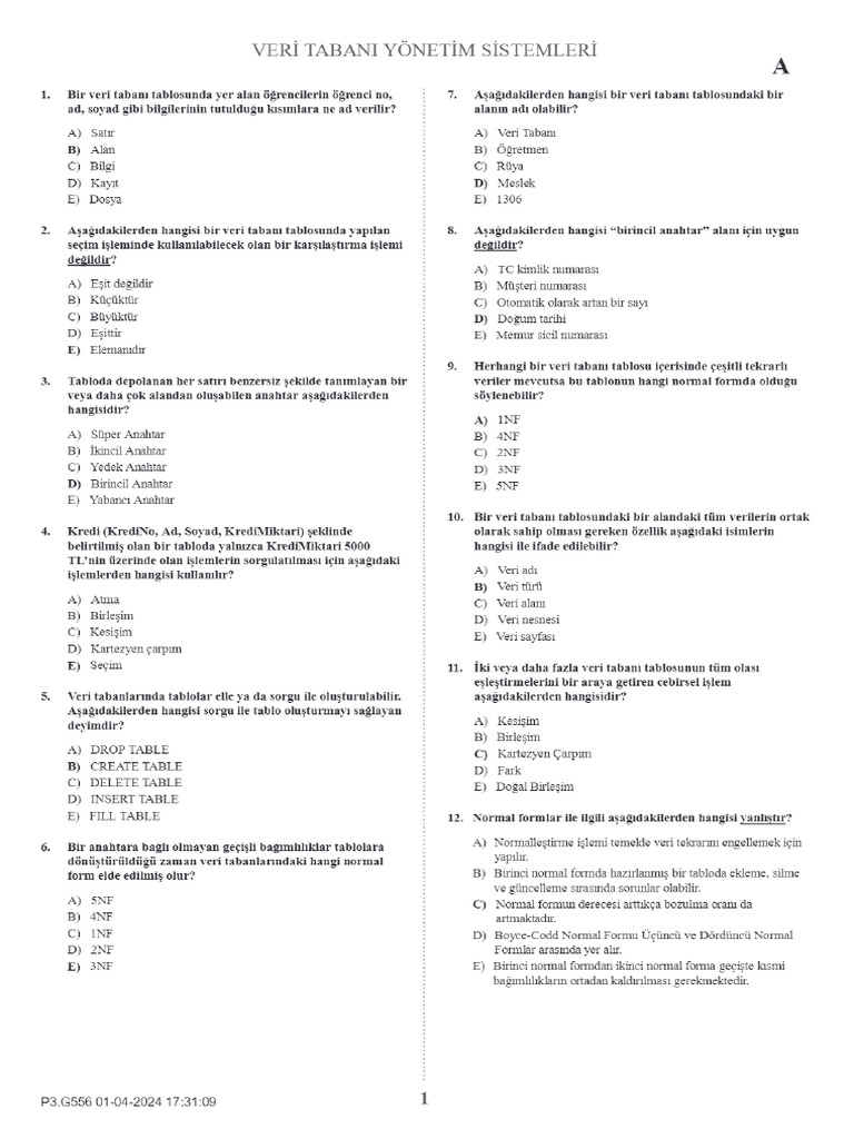 2024 - Vize - Veri Tabanı Yönetim Sistemi | PDF