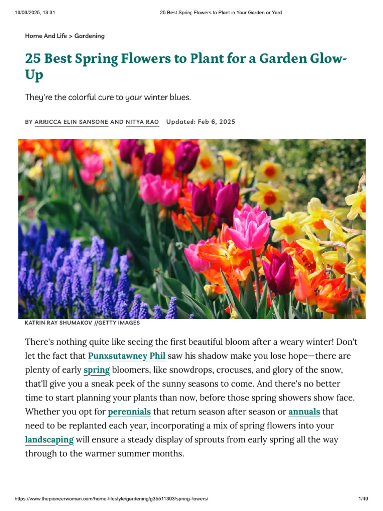 25 Best Spring Flowers To Plant in Your Garden or Yard | PDF | Flowers ...