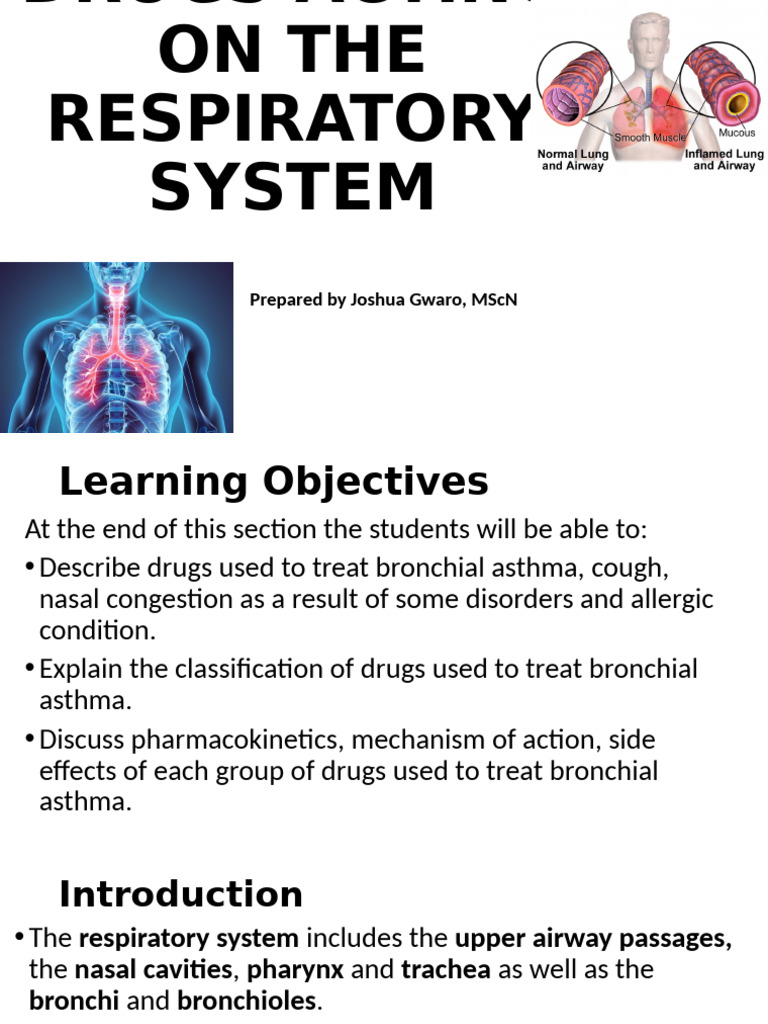 RESPIRATORY SYST Drug | PDF | Respiratory Tract | Asthma