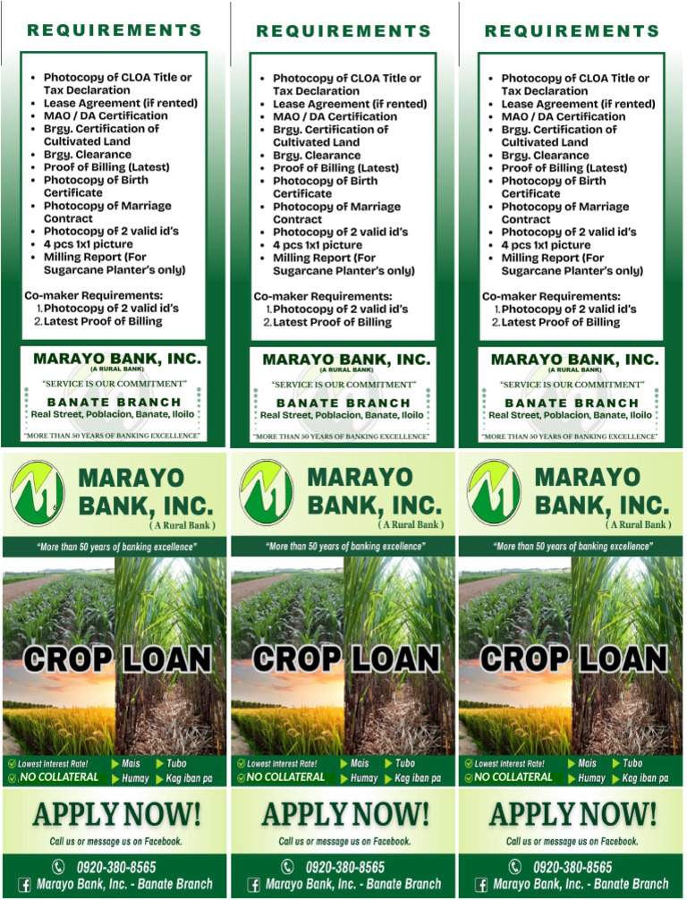 Crop Loan Flyers | PDF