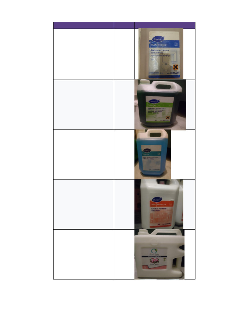 Cleaning Supplies Inventory List | PDF