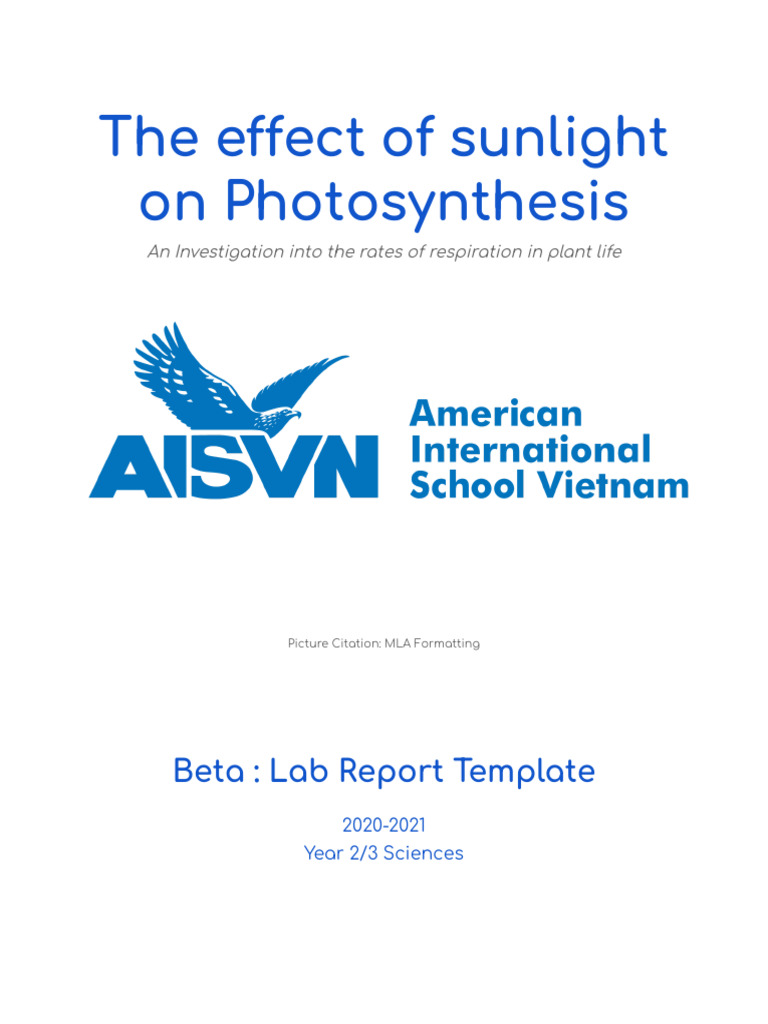 Biochemistry Summative Investigation On Photosynthesis | PDF ...