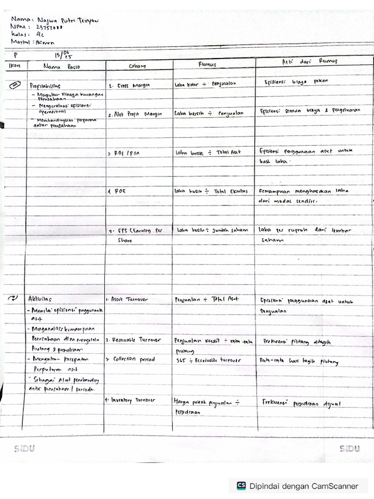 Akmen p12 Rasio Keuangan Najwa | PDF