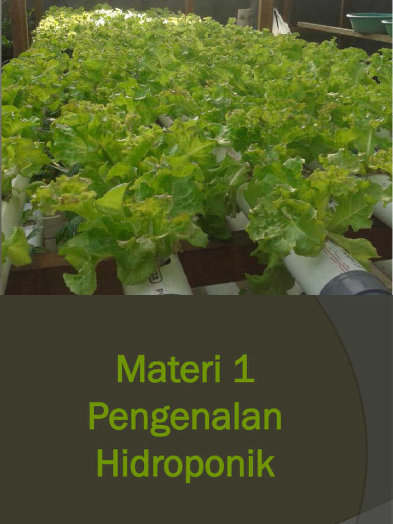 Materi P5 Hidroponik | PDF