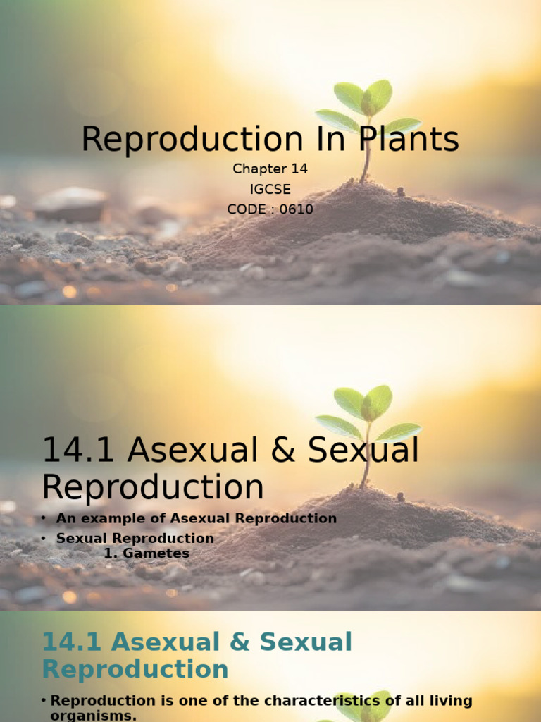 Reproduction in Plants | PDF | Sexual Reproduction | Flowers
