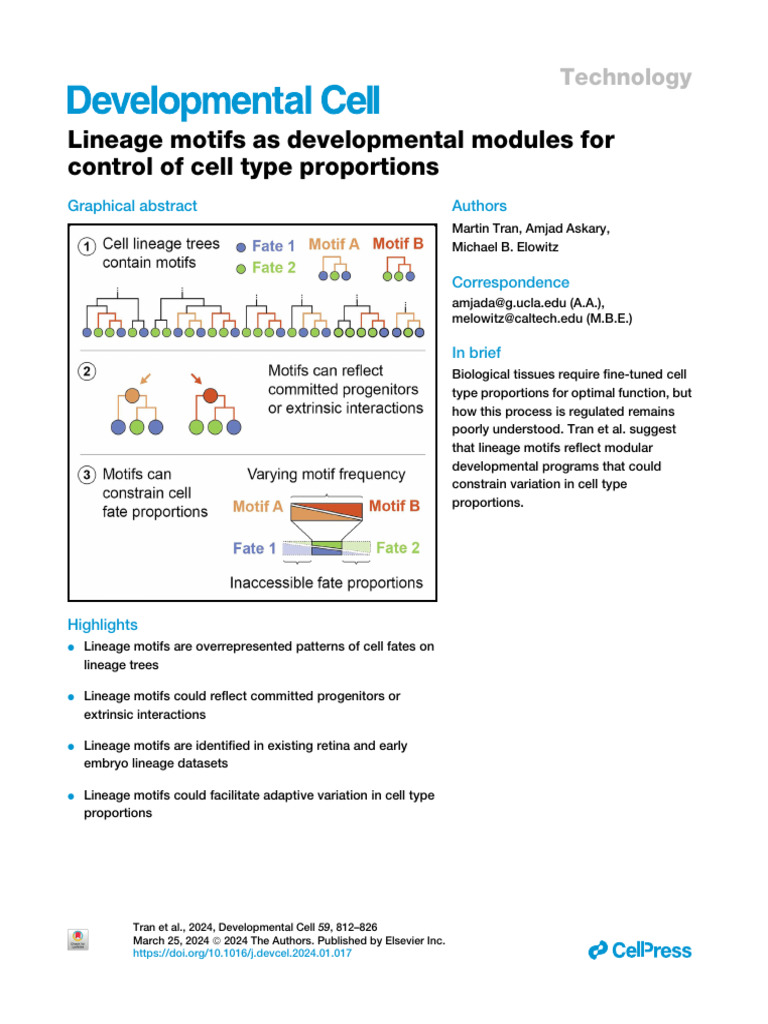 Lineage Motifs As Developmental Modules For Control of Ce 2024 Developmental | PDF | Retina ...