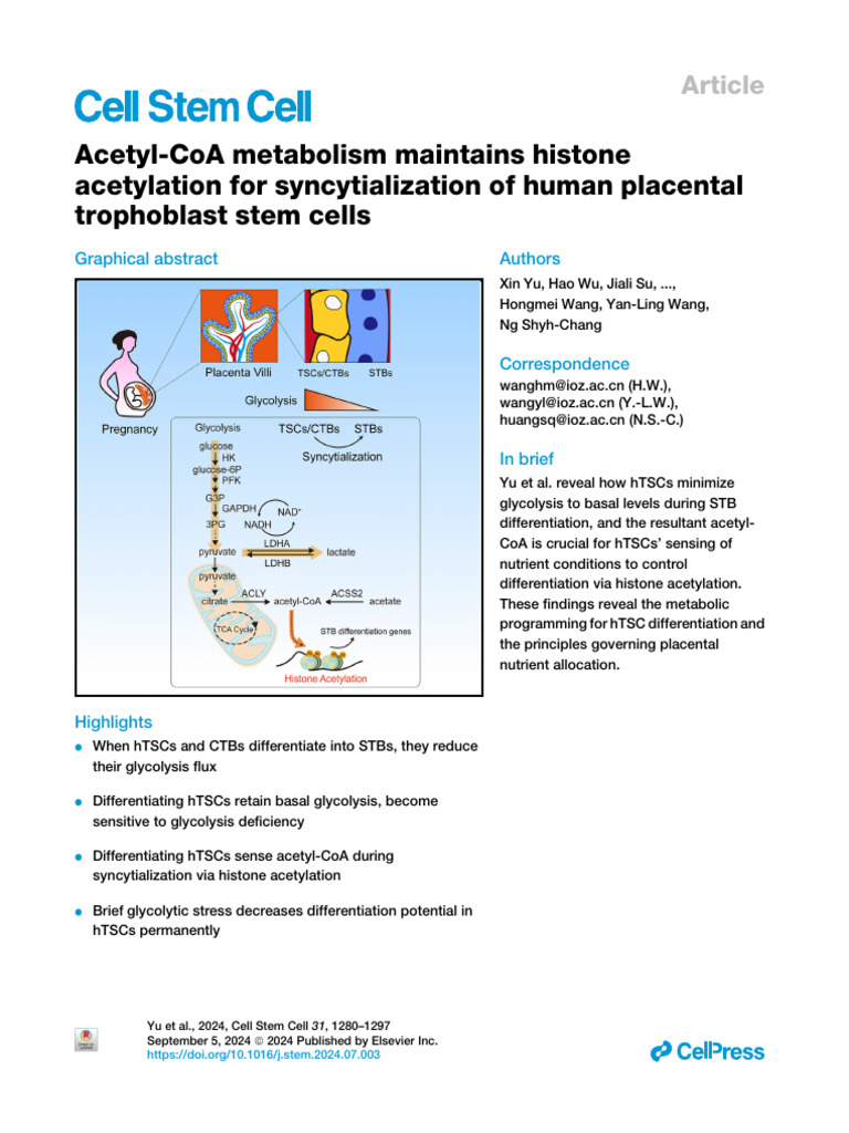 Acetyl CoA Metabolism Maintains Histone Acetylation For Syncyti 2024 ...