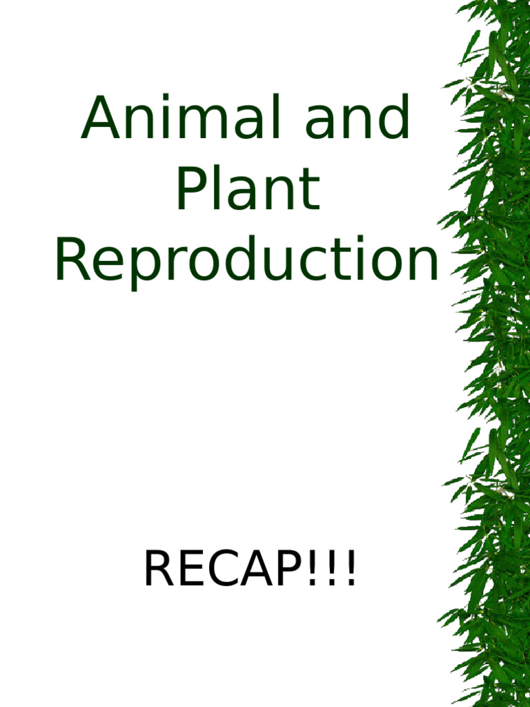 Plant and Animal Reproduction | PDF | Sexual Reproduction | Reproduction