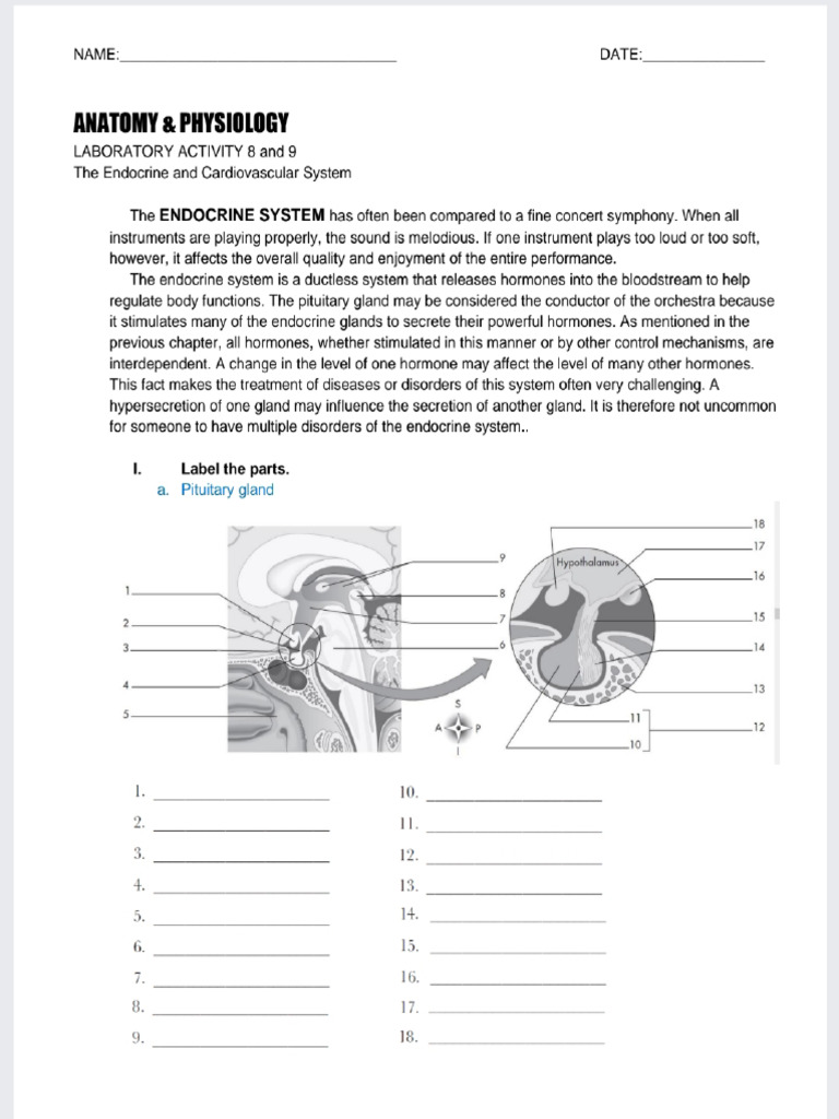 WPS Office Scan 20250414 072410-WPS Office | PDF | Heart Valve ...