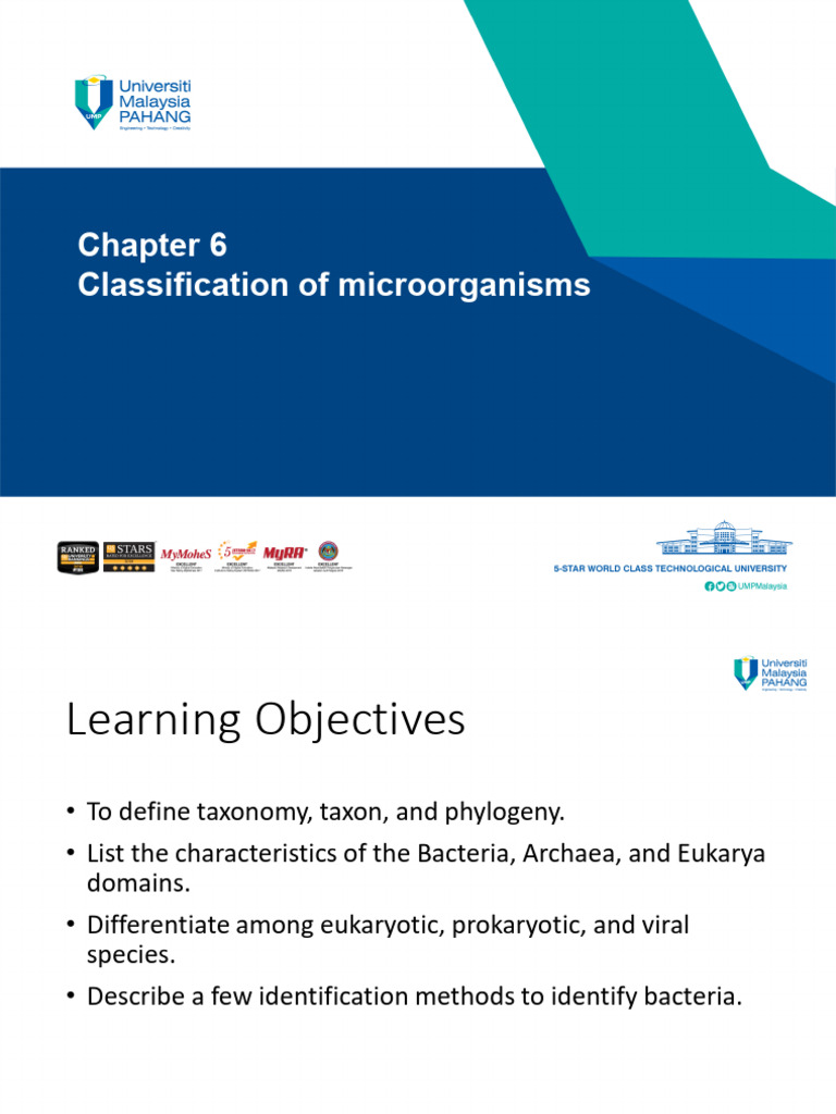 6 - Classification of Microorganisms | PDF | Fluorescence In Situ ...