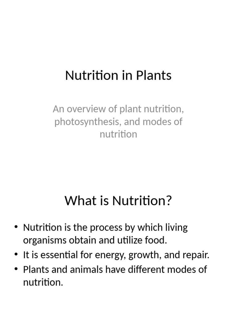 Plant Nutrition and Photosynthesis Guide | PDF