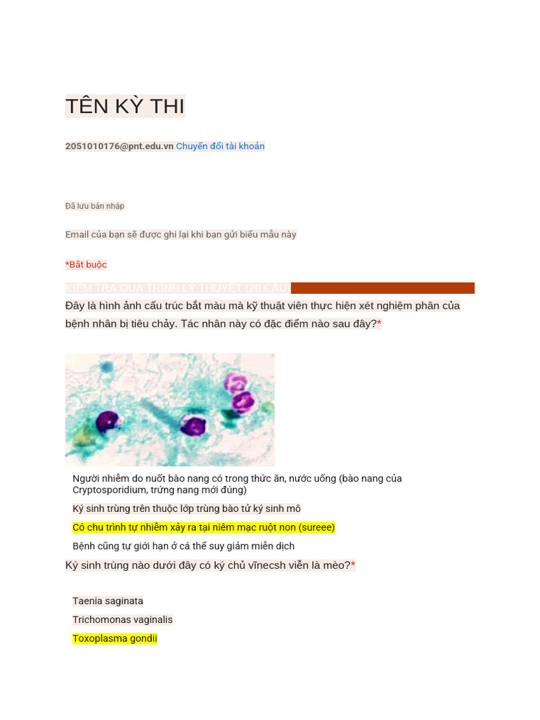 GK KST Y20 Ca-1 | PDF