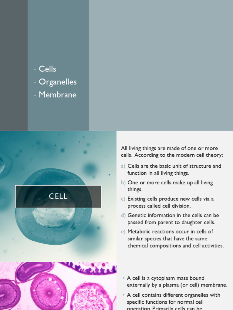 Topic 3 Structure and Transport (I) | PDF | Cell (Biology) | Cell Membrane