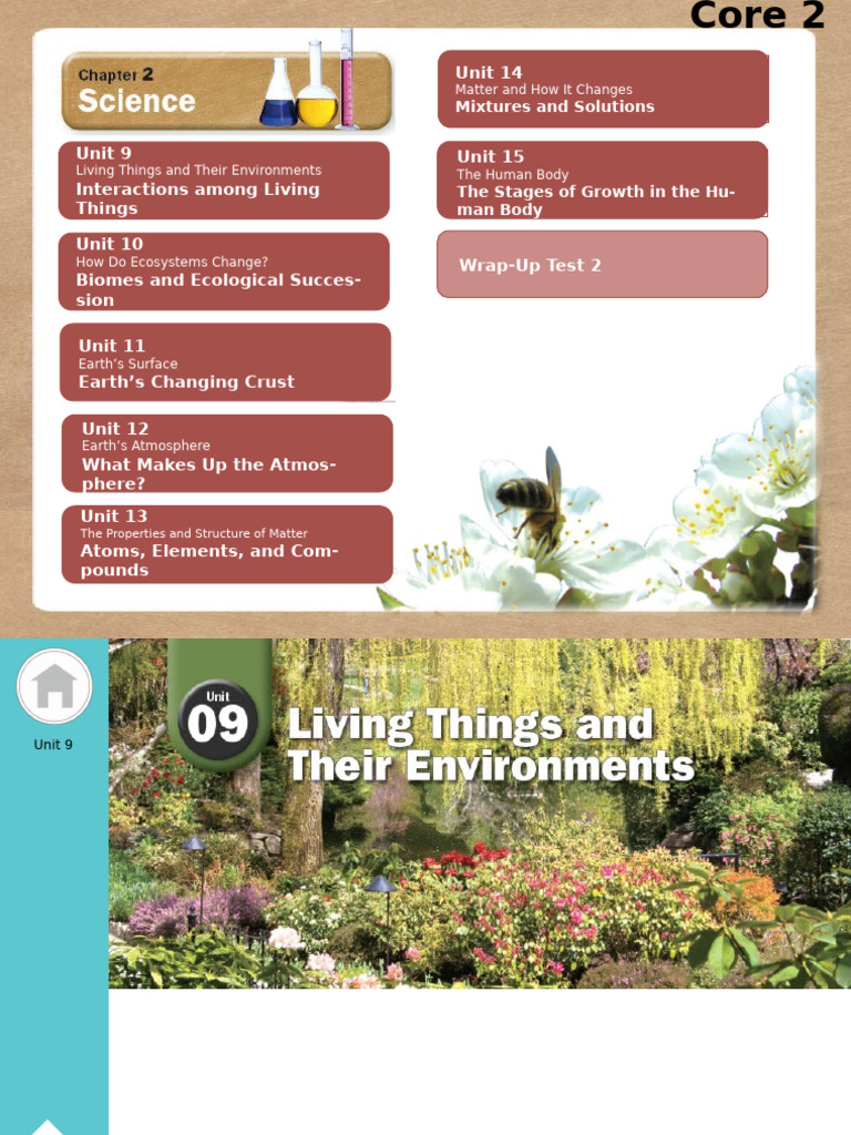 E-Book Core-2 Chapter-2 Unit9 Unit15 | PDF | Stratosphere | Ecosystem