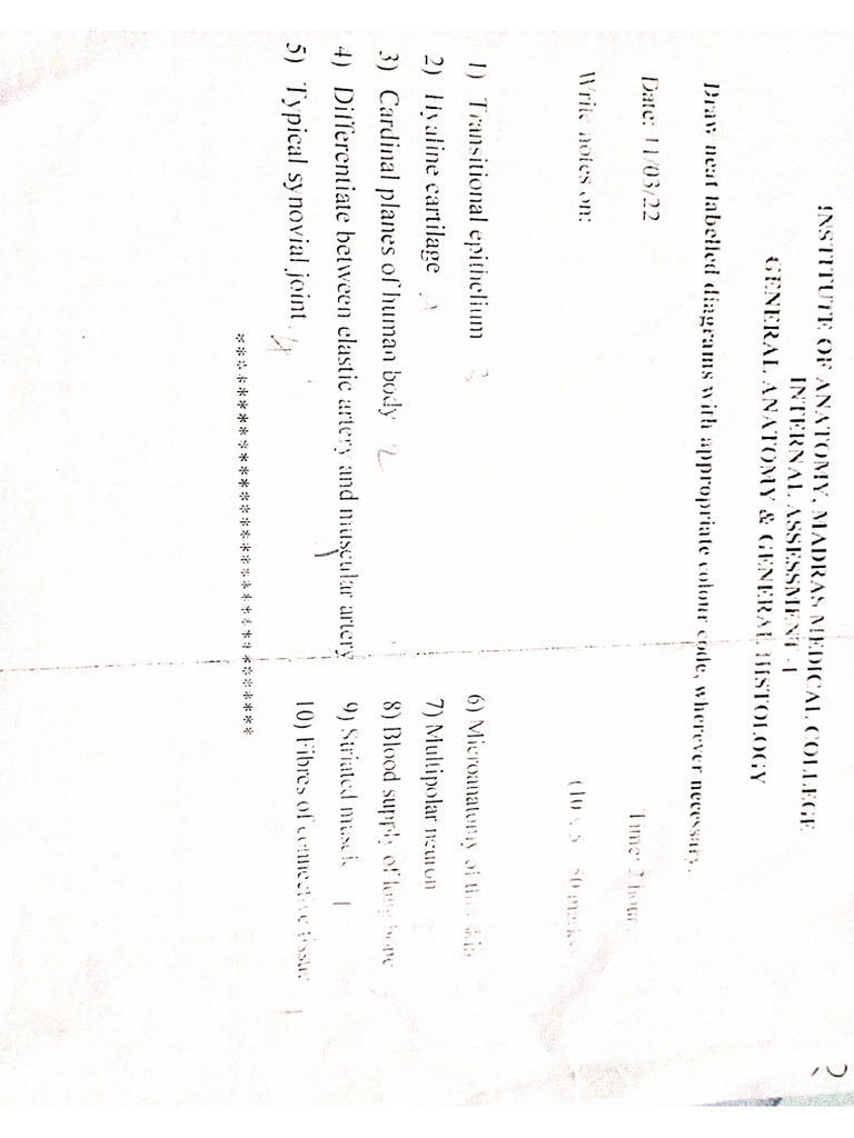 Anatomy IA Papers | PDF