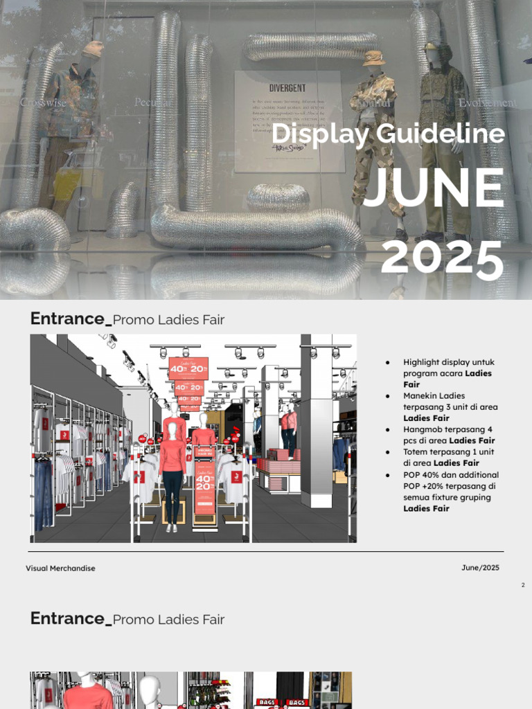 Display Guideline - June 2025 | PDF