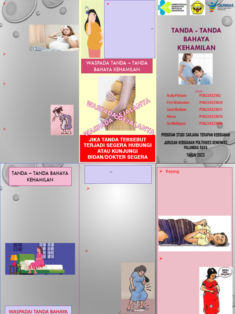 Tanda Bahaya Kehamilan yang Perlu Diwaspadai | PDF