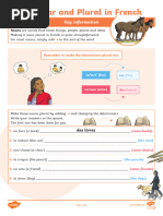 French Classroom Objects Guide | PDF