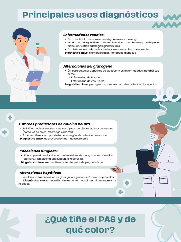 Coloración PAS | PDF