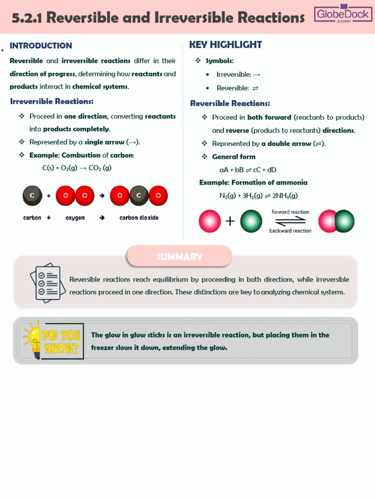 Reversible vs. Irreversible Reactions | PDF