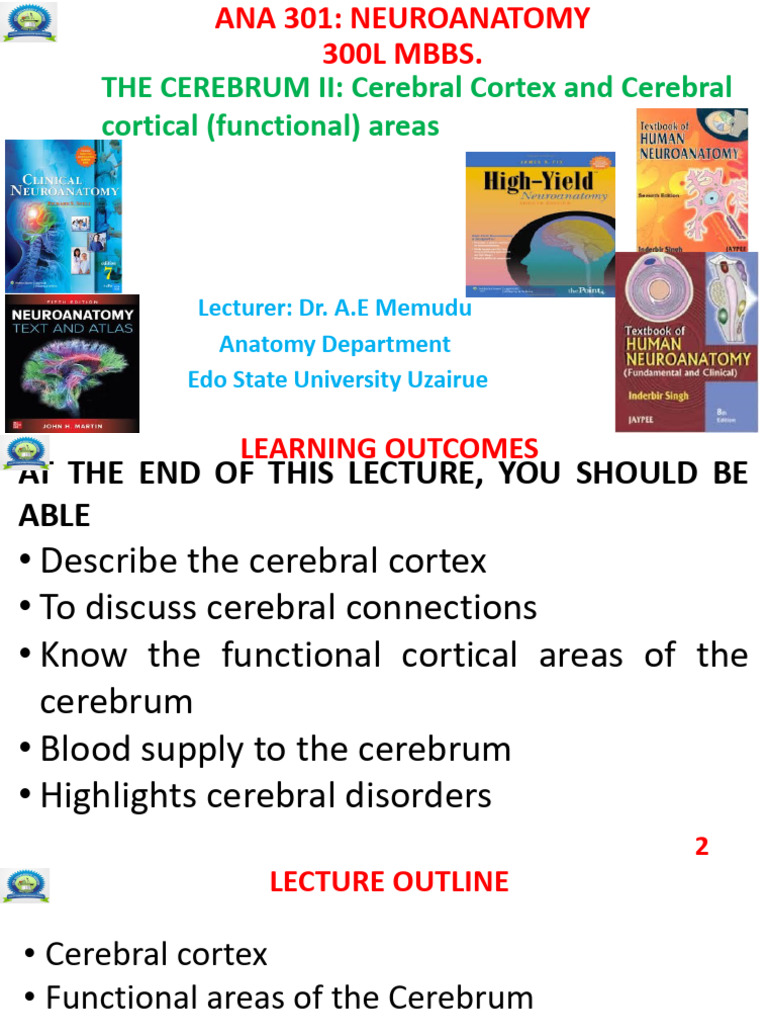 ANA - 301 - Neuroanatomy - Cerebral Cortex and Functional Areas | PDF | Cerebral Cortex | Visual ...