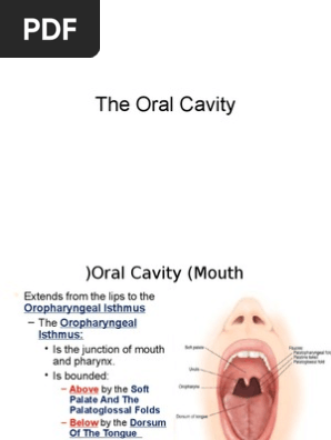 Oropharyngeal Isthmus