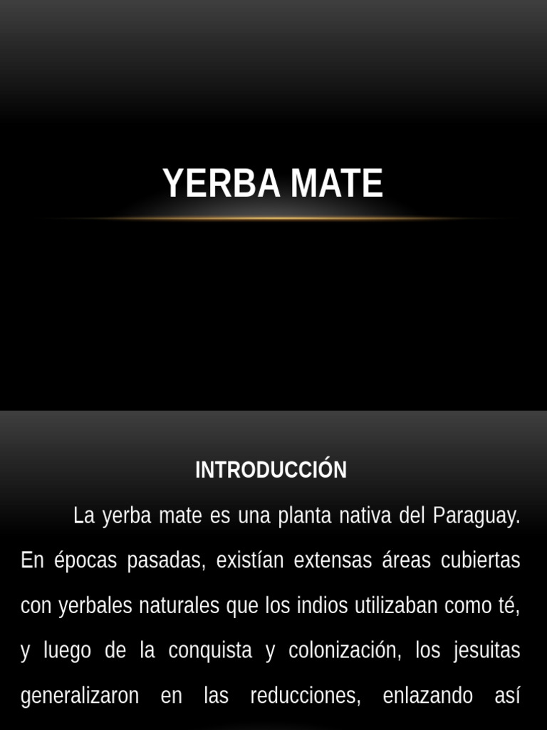 Yerba Mate | PDF | Cosecha | Semilla