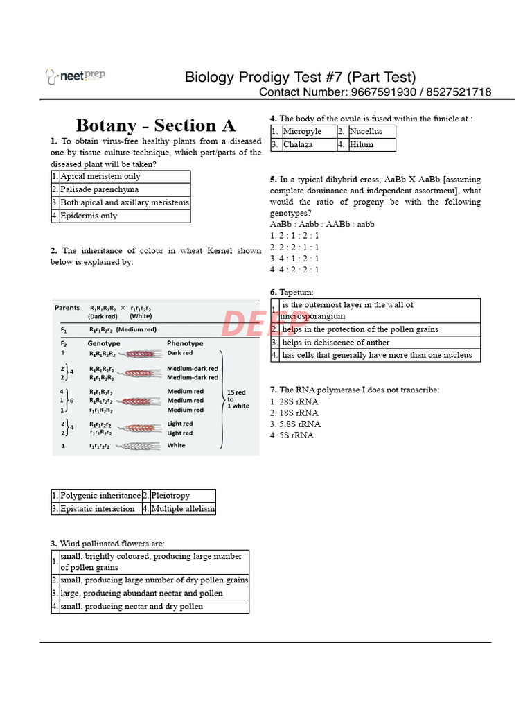 Biology Prodigy Test #7 (Part Test) (DEEP) PDF | PDF | Genetic ...