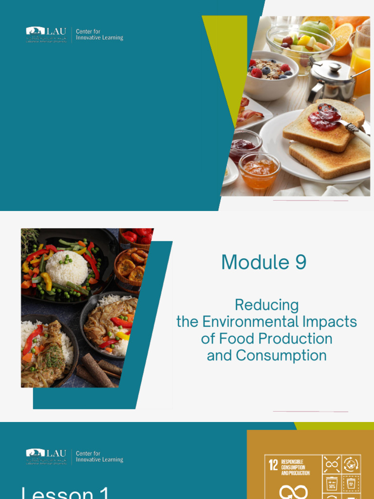 Module 9 - Lesson 1 - LAS 202 - SFJ | PDF | Sustainability | Sustainable Agriculture