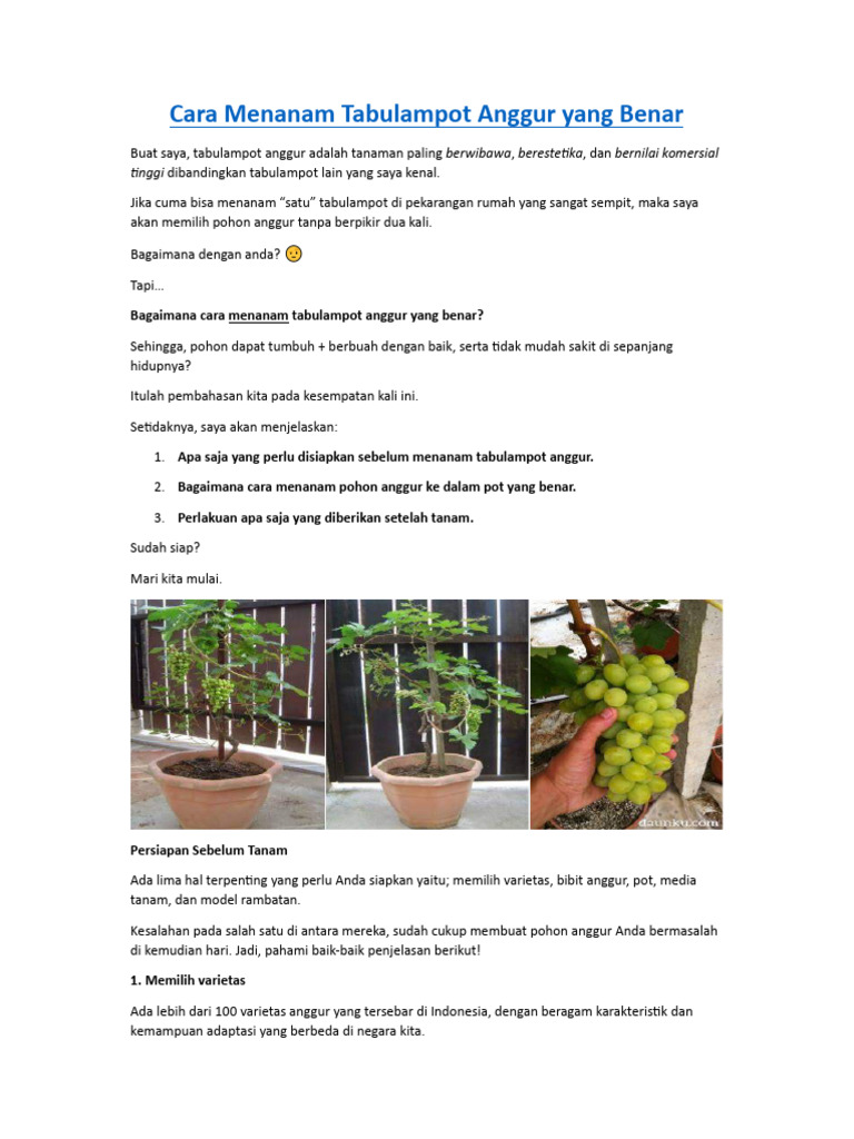 Cara Menanam Tabulampot Anggur Yang Benar | PDF