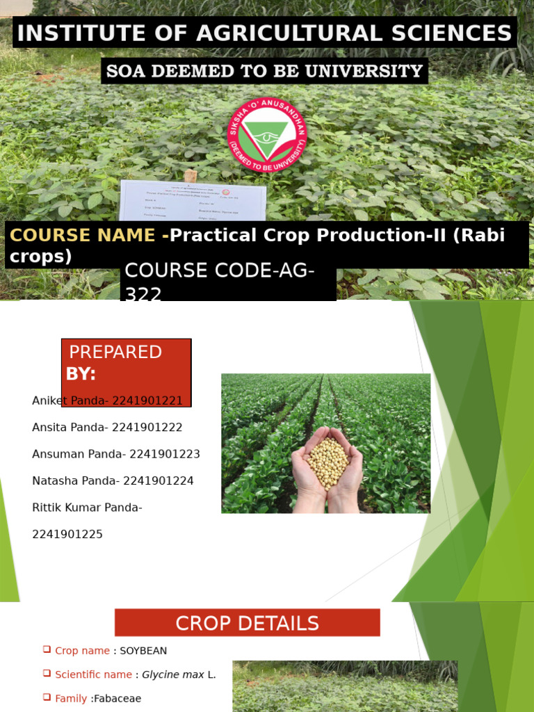 Soybean Crop Production Guide | PDF | Soybean | Sowing