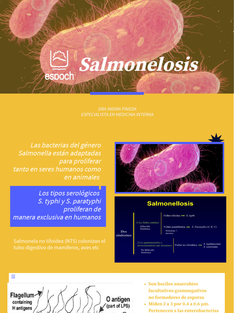 0 17. Salmonelosis | PDF | Salmonela | Medicina CLINICA