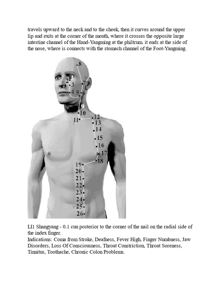 Acupuncture Meridian Point Locations Atlas - John Urbanski - (WeLib ...