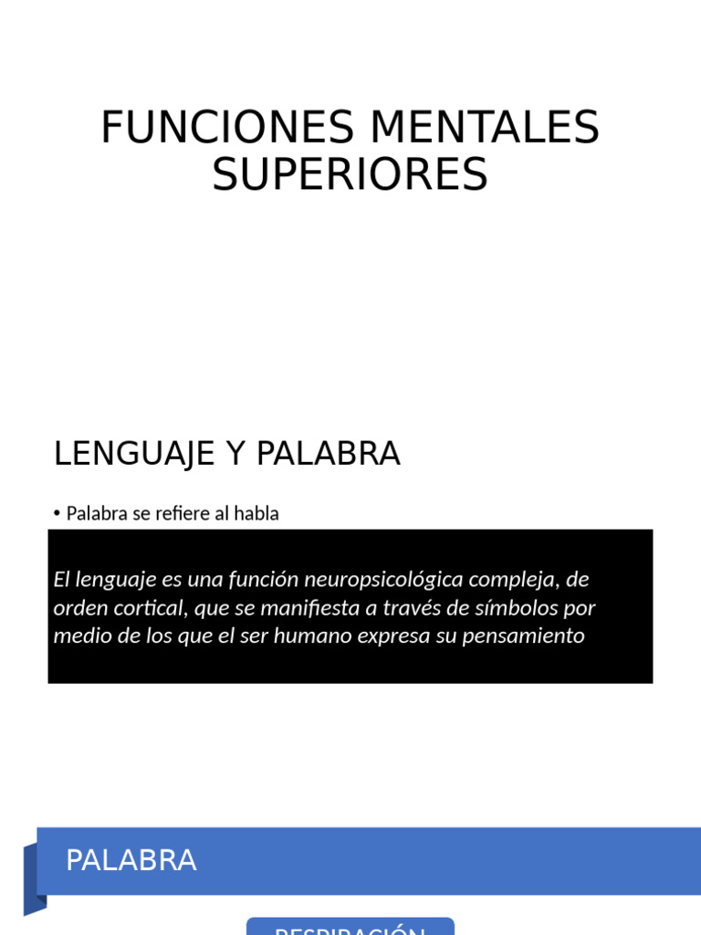 Funciones Mentales | PDF | Sistema nervioso | Neurociencia