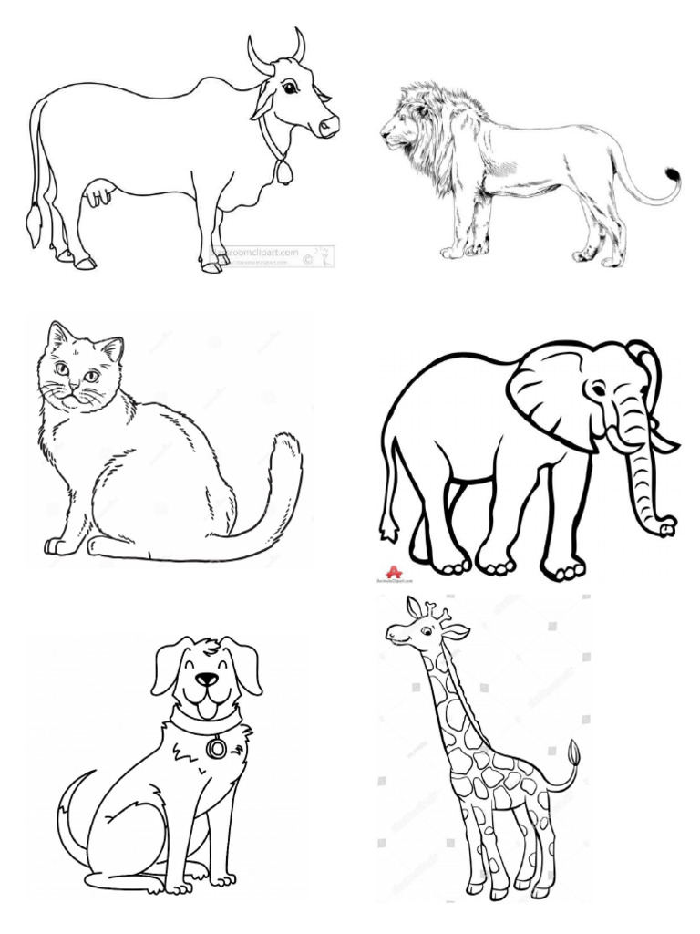 Animals Outline | PDF