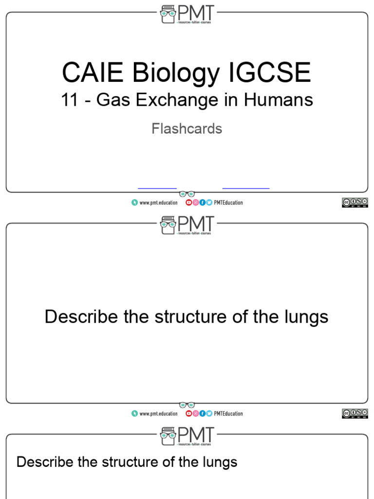 Flashcards - Topic 11 Gas Exchange in Humans - CAIE Biology IGCSE | PDF ...