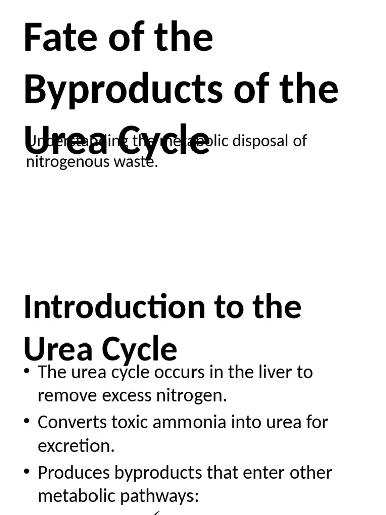Urea Cycle Byproducts Presentation | PDF