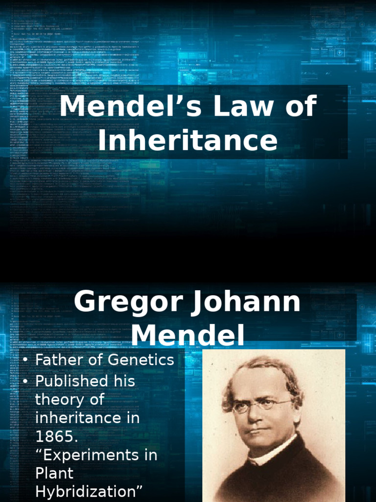Mendel S Law Of Inheritance Maramag Carla May G Pdf Dominance