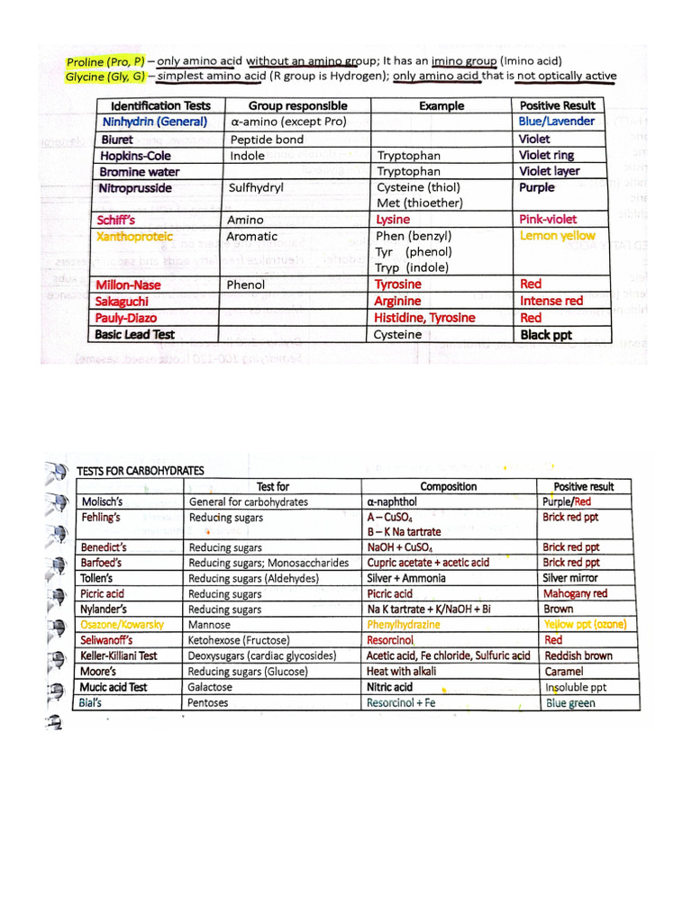 Test For Carbs&Proteins | PDF