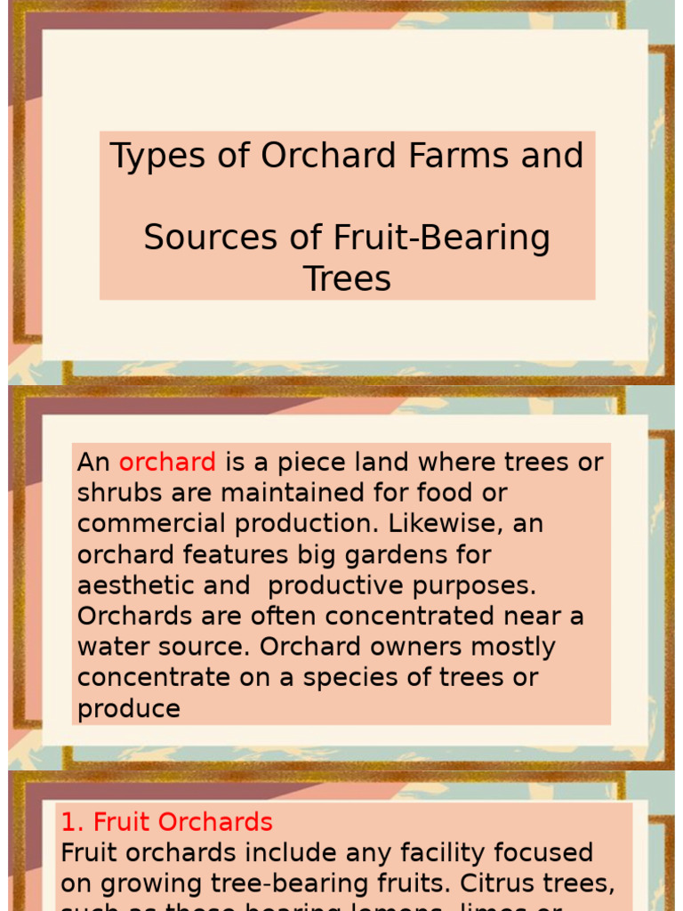 Types of Orchard Farms Explained | PDF | Trees | Orchard