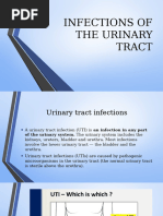 Urinary Tract Infection Presentation | PDF
