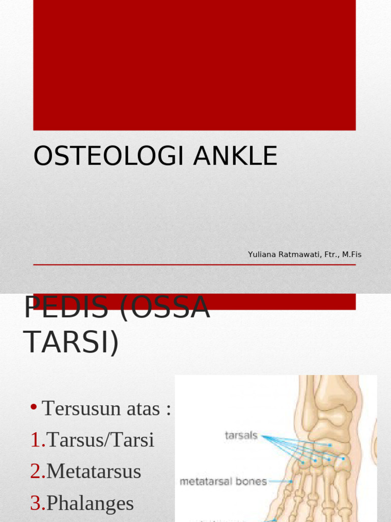 Osteologi Ankle | PDF