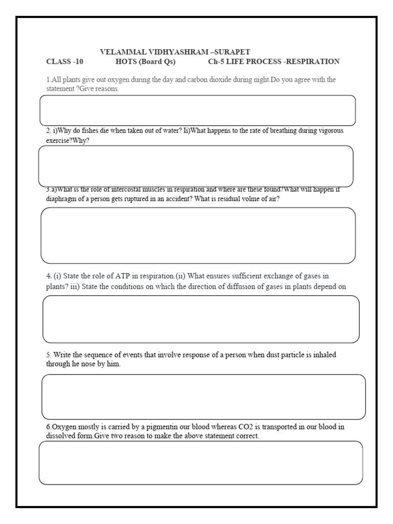 Class 10 Respiration WS | PDF | Cellular Respiration | Breathing