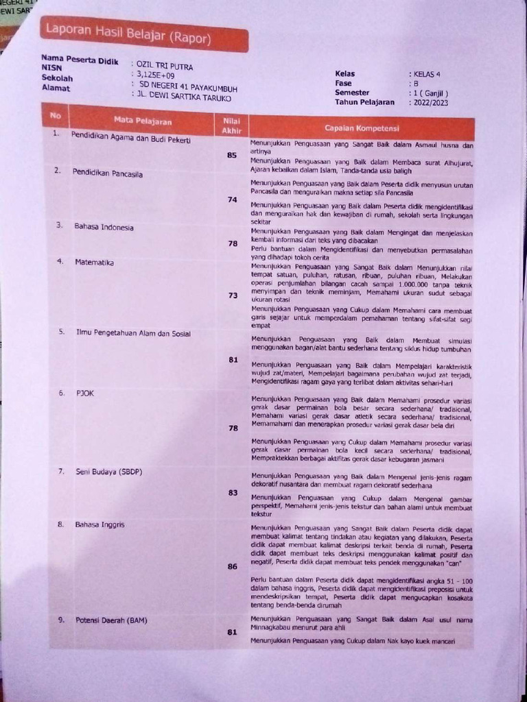 Raport Ozil Compressed | PDF