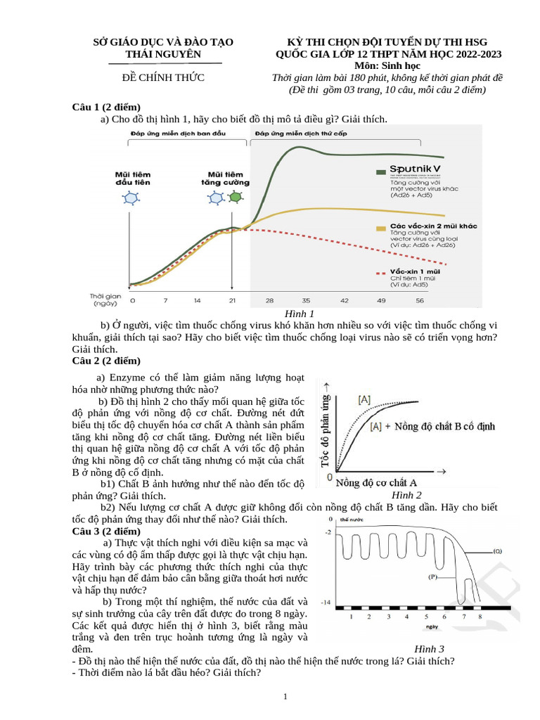 ĐỀ HSG LOP 12.1 | PDF