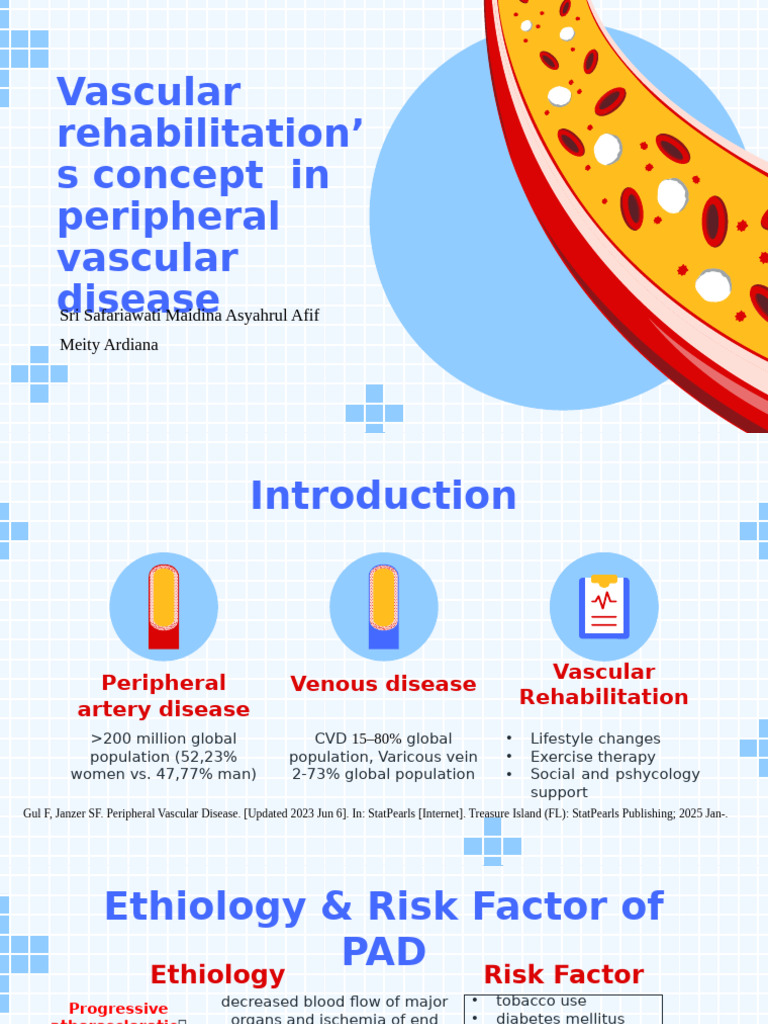 Konsep Dasar Rehabilitasi Vaskular Pada Penyakit Pembuluh Darah Perifer | PDF | Blood Vessel | Vein
